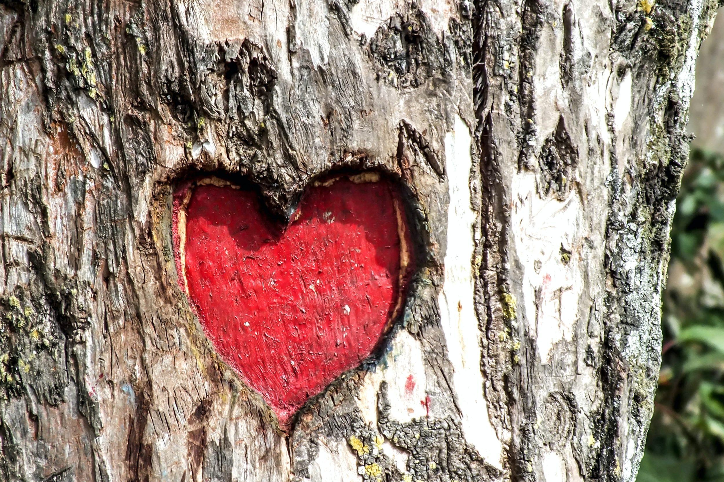 Qui était le vrai Saint Valentin ? Les origines d'une fête mystérieuse ...